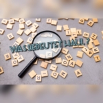 Was bedeutet Haul: Bedeutung, Definition & Herkunft - Wortbedeutung