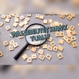 Was bedeutet Hawk Tuah: Bedeutung, Definition & Herkunft | Meme ...