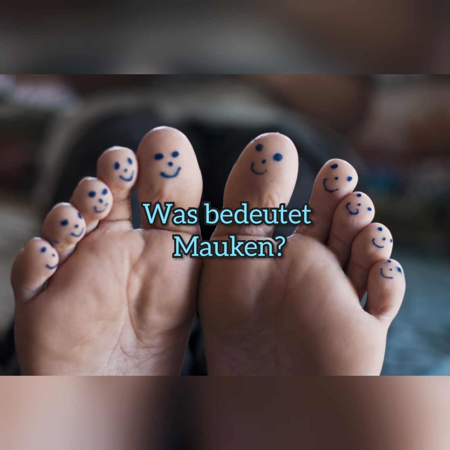 Mauken-Was bedeutet der Begriff wirklich: Bedeutung, Definition ...